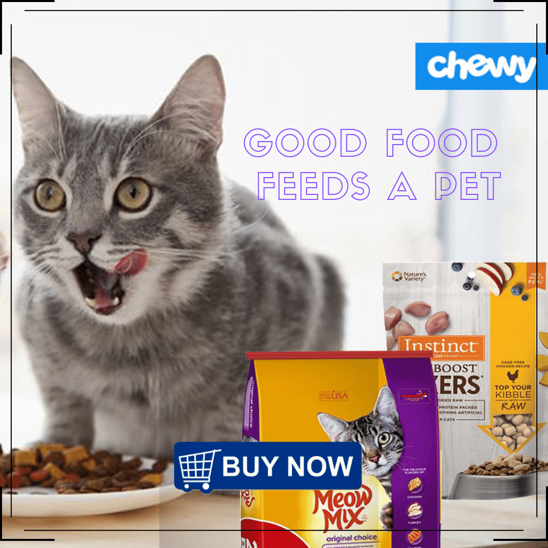 Siamese Cat Colors Chart | Fascinating Facts | Siamese of Day